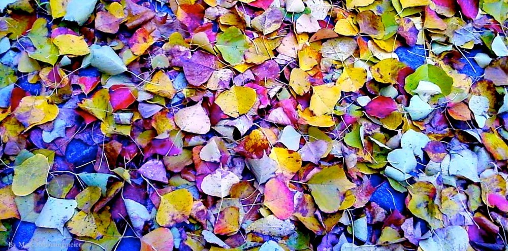 A place called Lo Debar | Mark's Bible Study