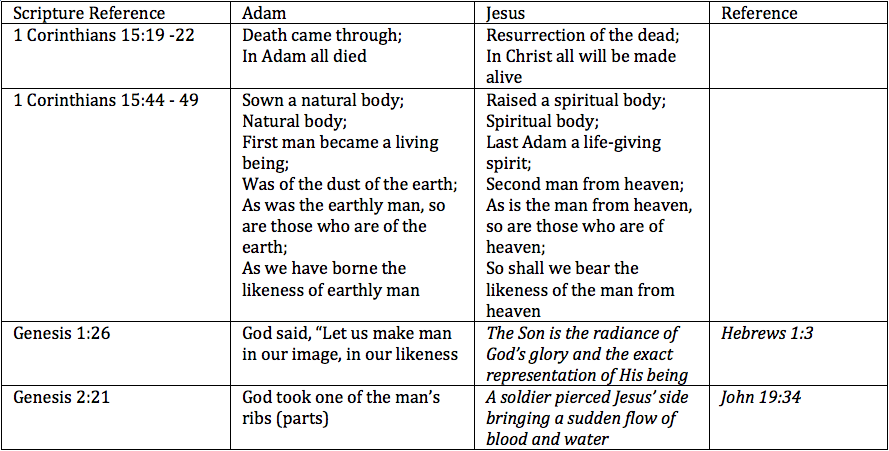 Adam 1 | Mark's Bible Study